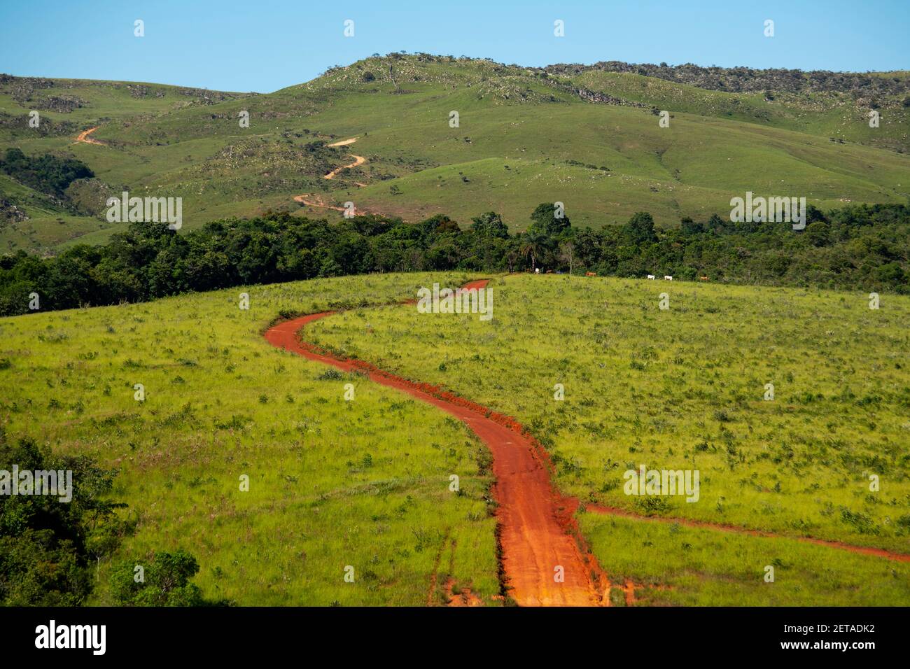 Dirty track at Serra da Canastra National Park, Minas Gerais, Brazil ...