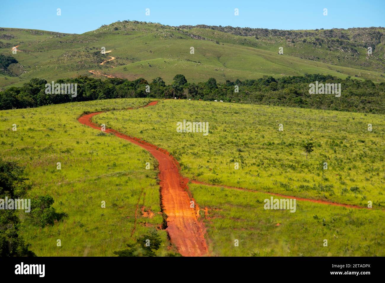 Dirty track at Serra da Canastra National Park, Minas Gerais, Brazil ...