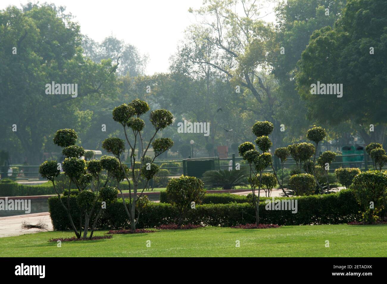 A beautiful park with balloon shaped ornamental plants on a lawn Stock ...