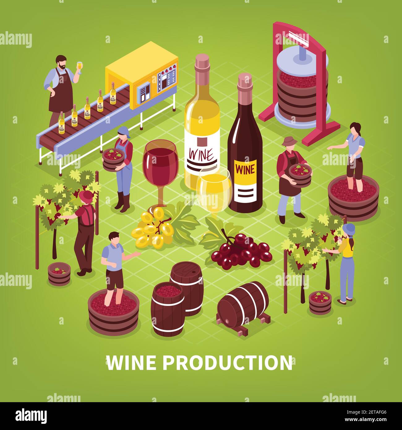 Wine production composition vineyard pressing of grapes bottling ...