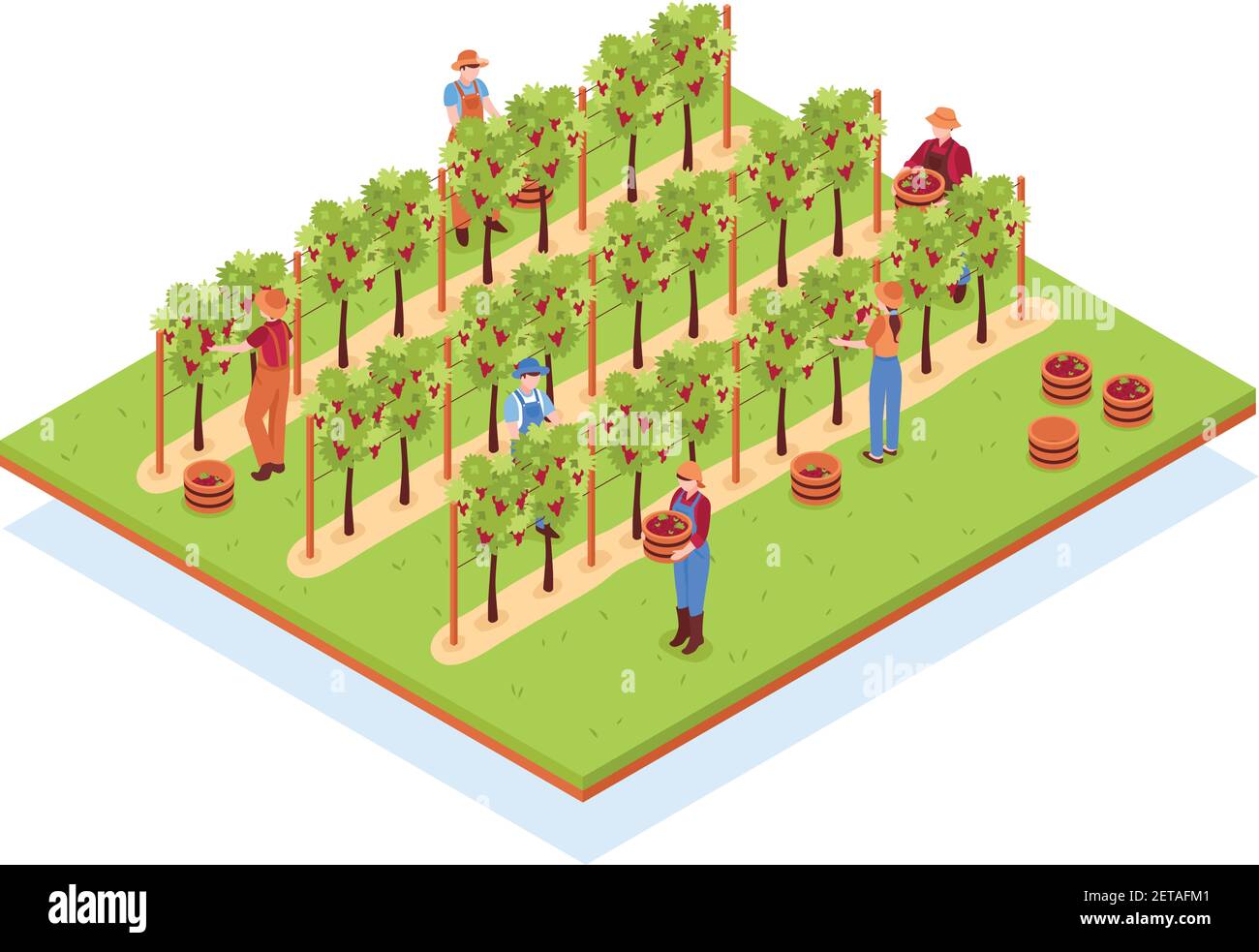 Work in vineyard on Cut Out Stock Images & Pictures - Alamy