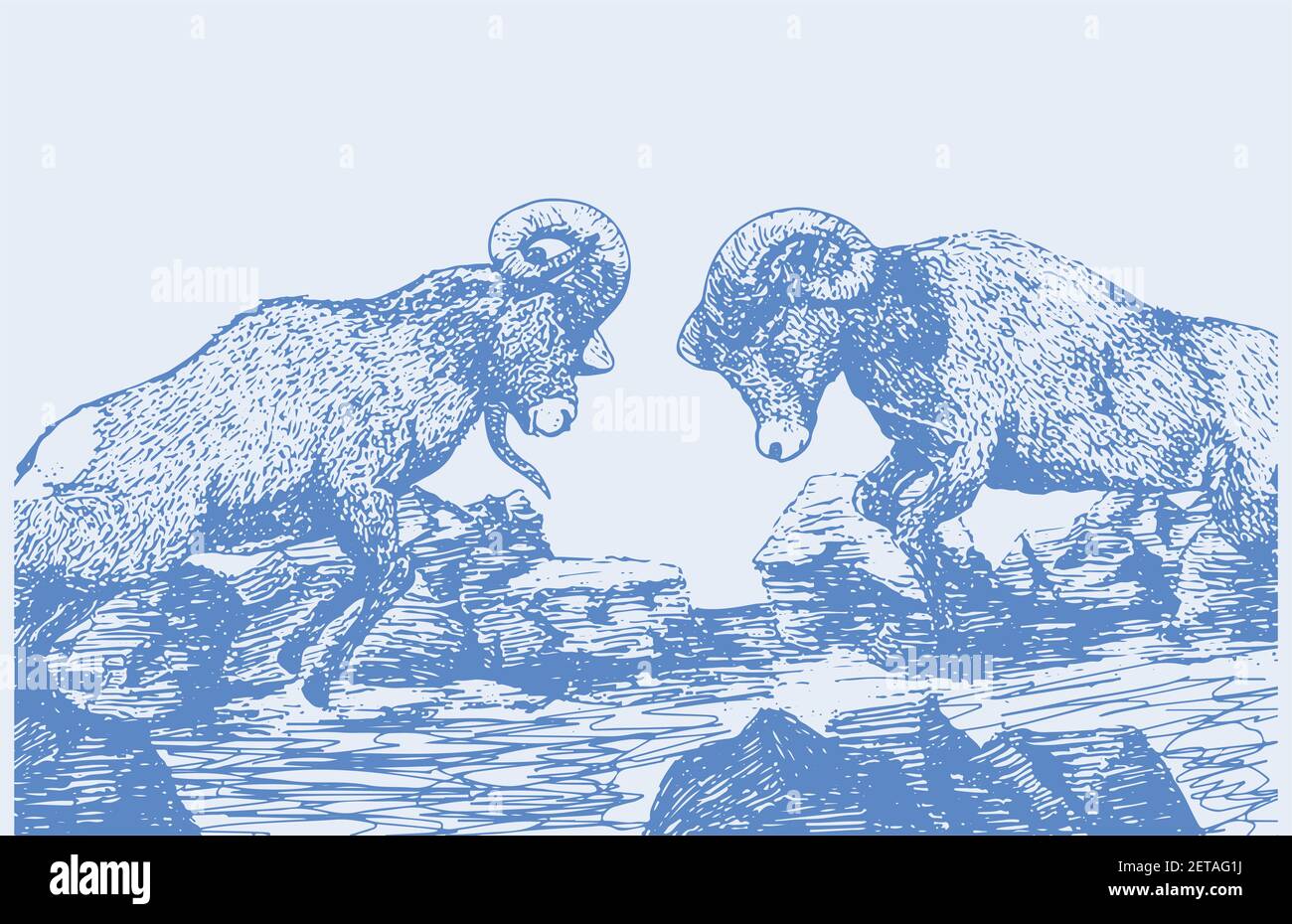An illustration of two fighting mountain goats isolated on a brown ...
