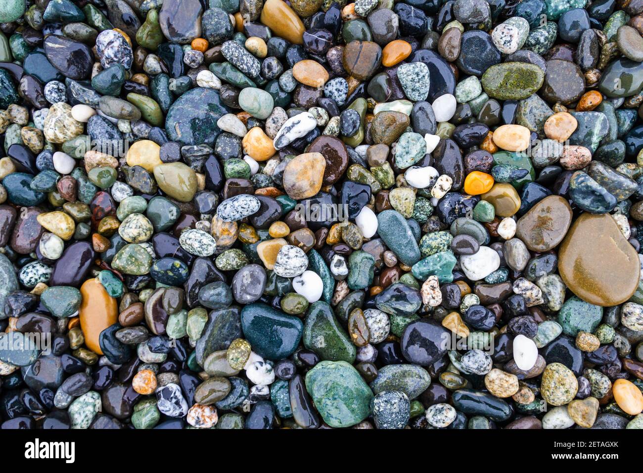 Colorful smooth rocks on the beach covered in water Stock Photo - Alamy