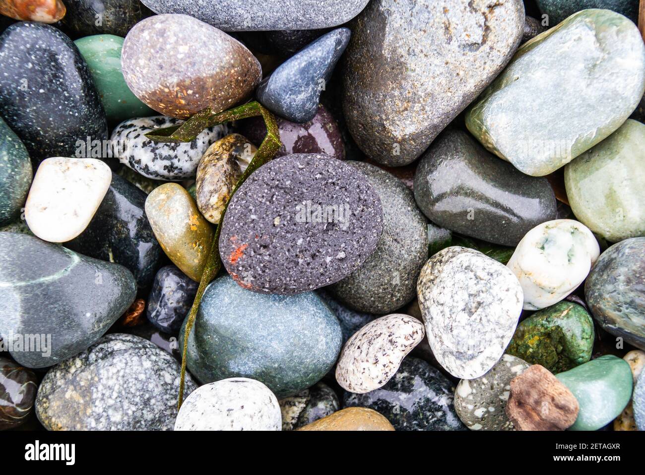 Colorful smooth rocks on the beach covered in water Stock Photo - Alamy