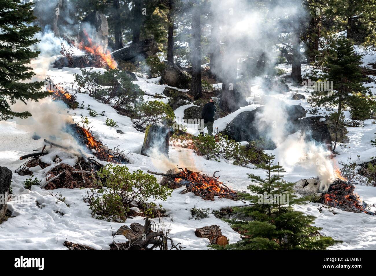 Schafer state park hi-res stock photography and images - Alamy
