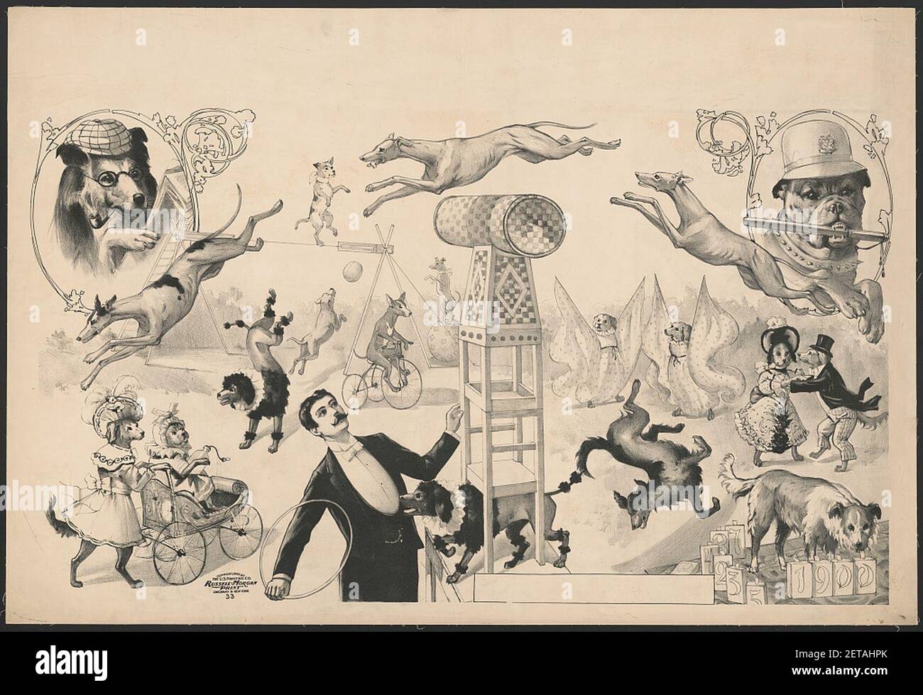 Performing dogs hi-res stock photography and images - Alamy