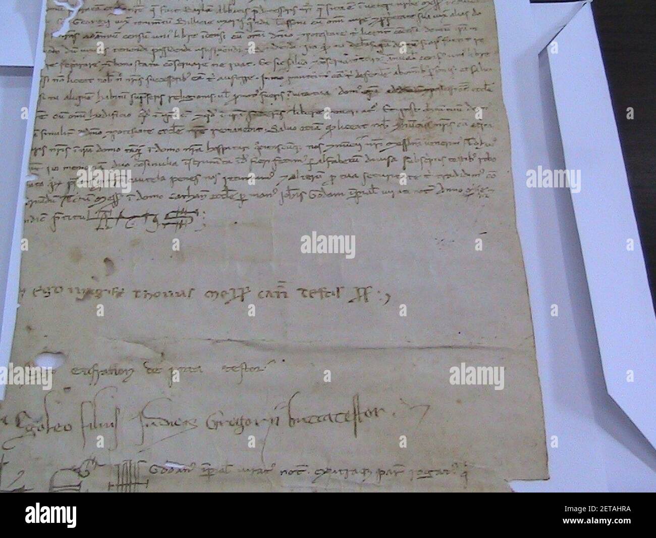 Pergamena pergamena hi-res stock photography and images - Alamy