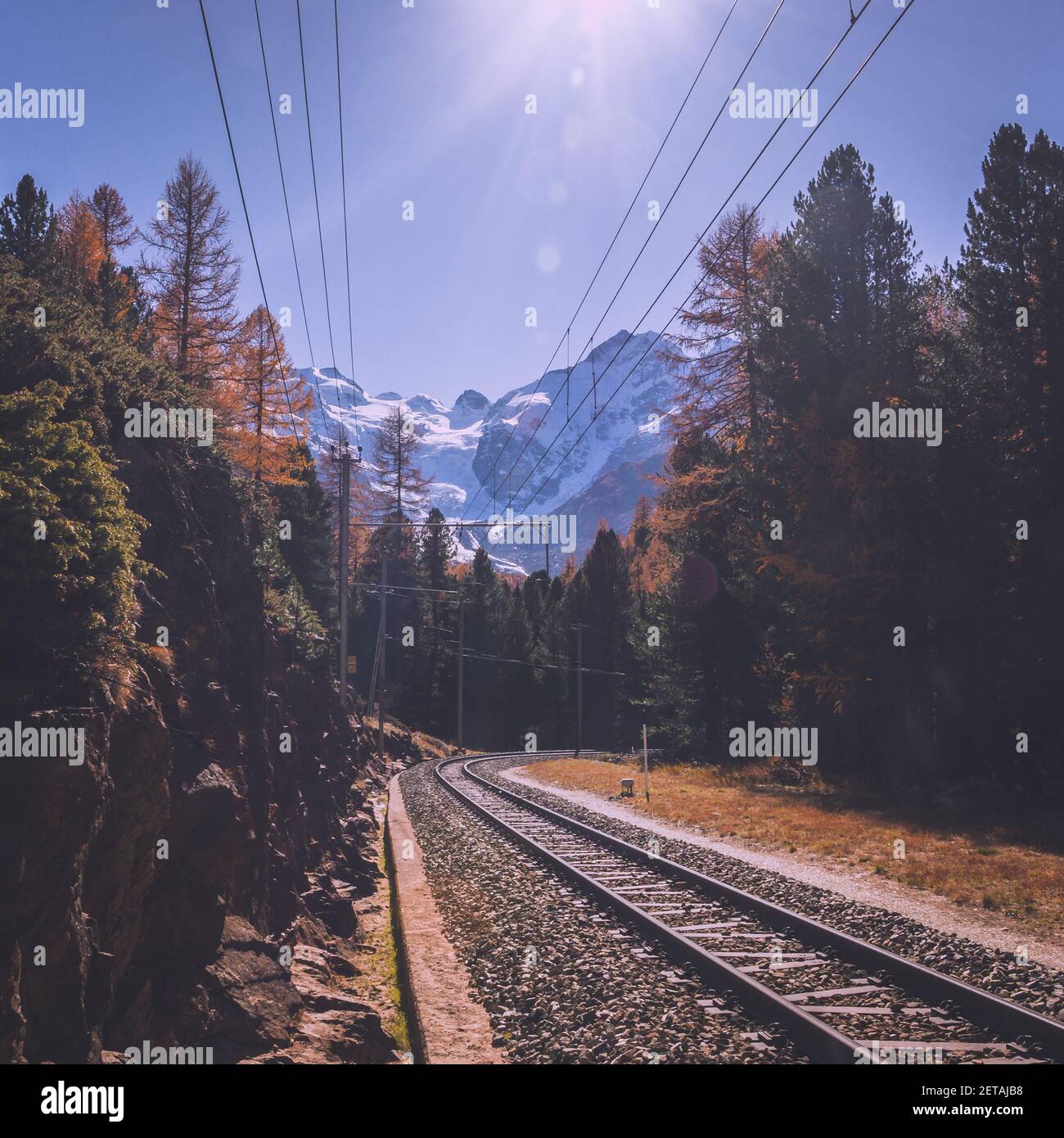 Train between trees hi-res stock photography and images - Alamy