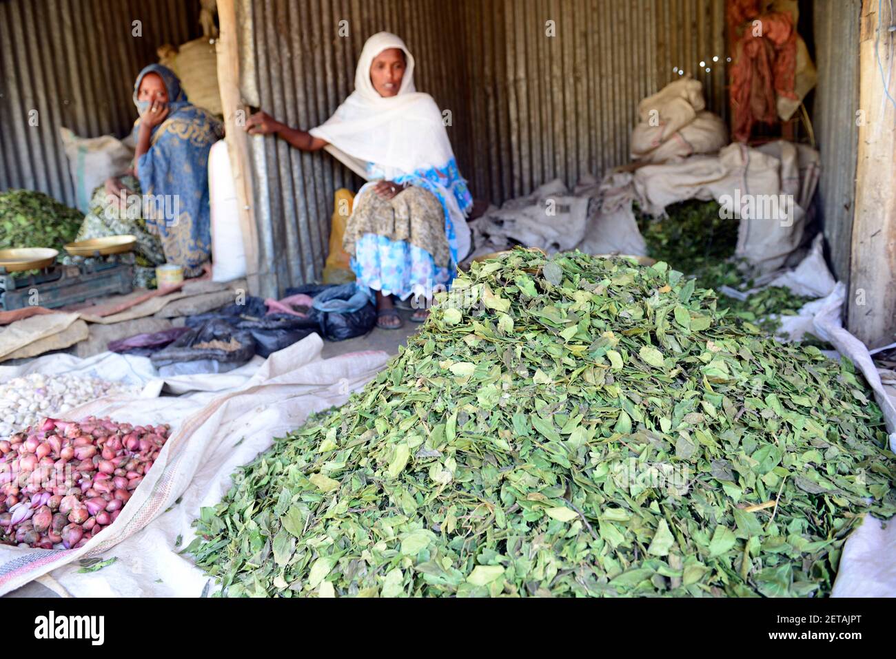 Gesho leaves sold in the Mekele market in Ethiopia Stock Photo - Alamy