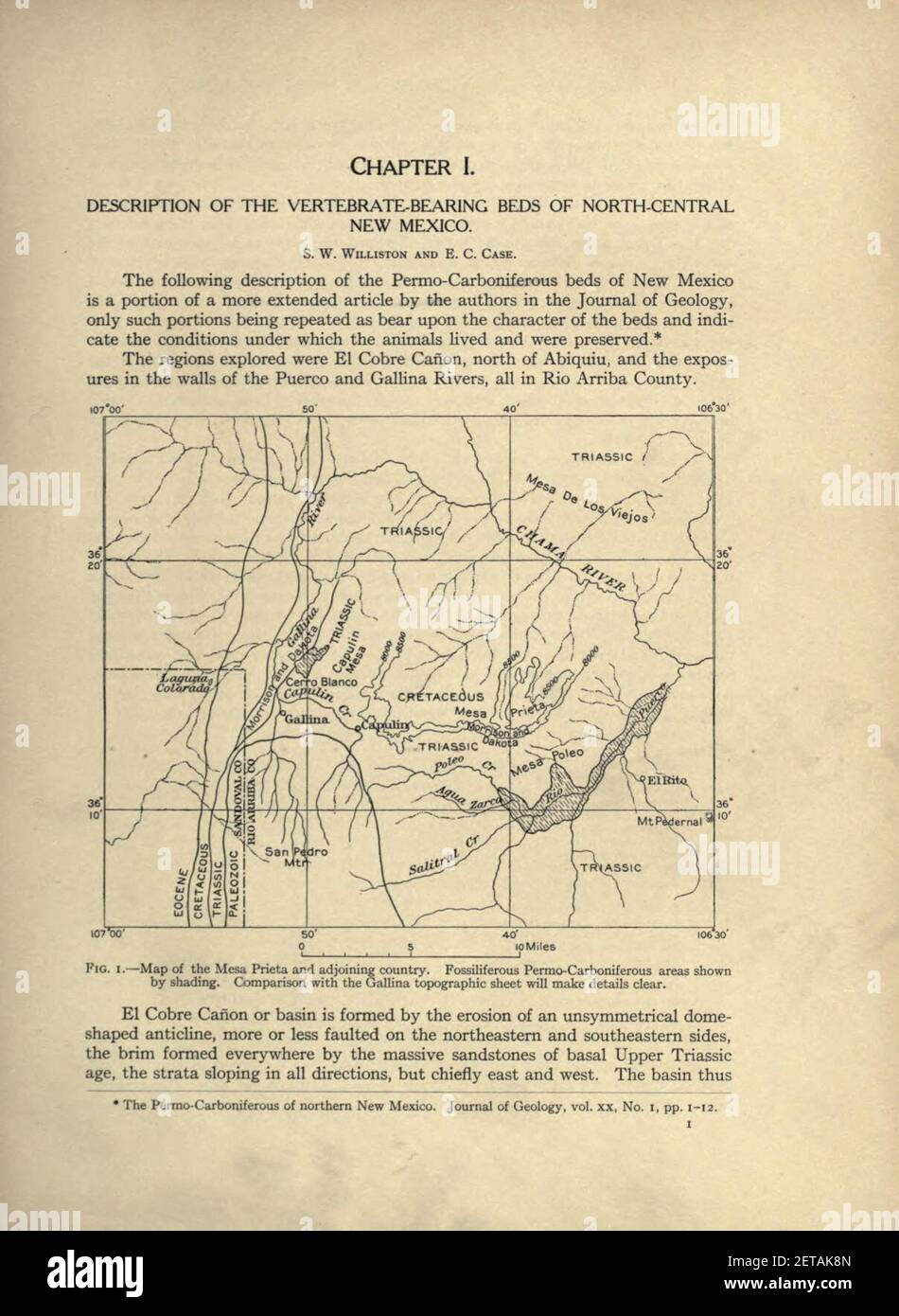 Permo-carboniferous vertebrates from New Mexico (Page 1 Stock Photo - Alamy