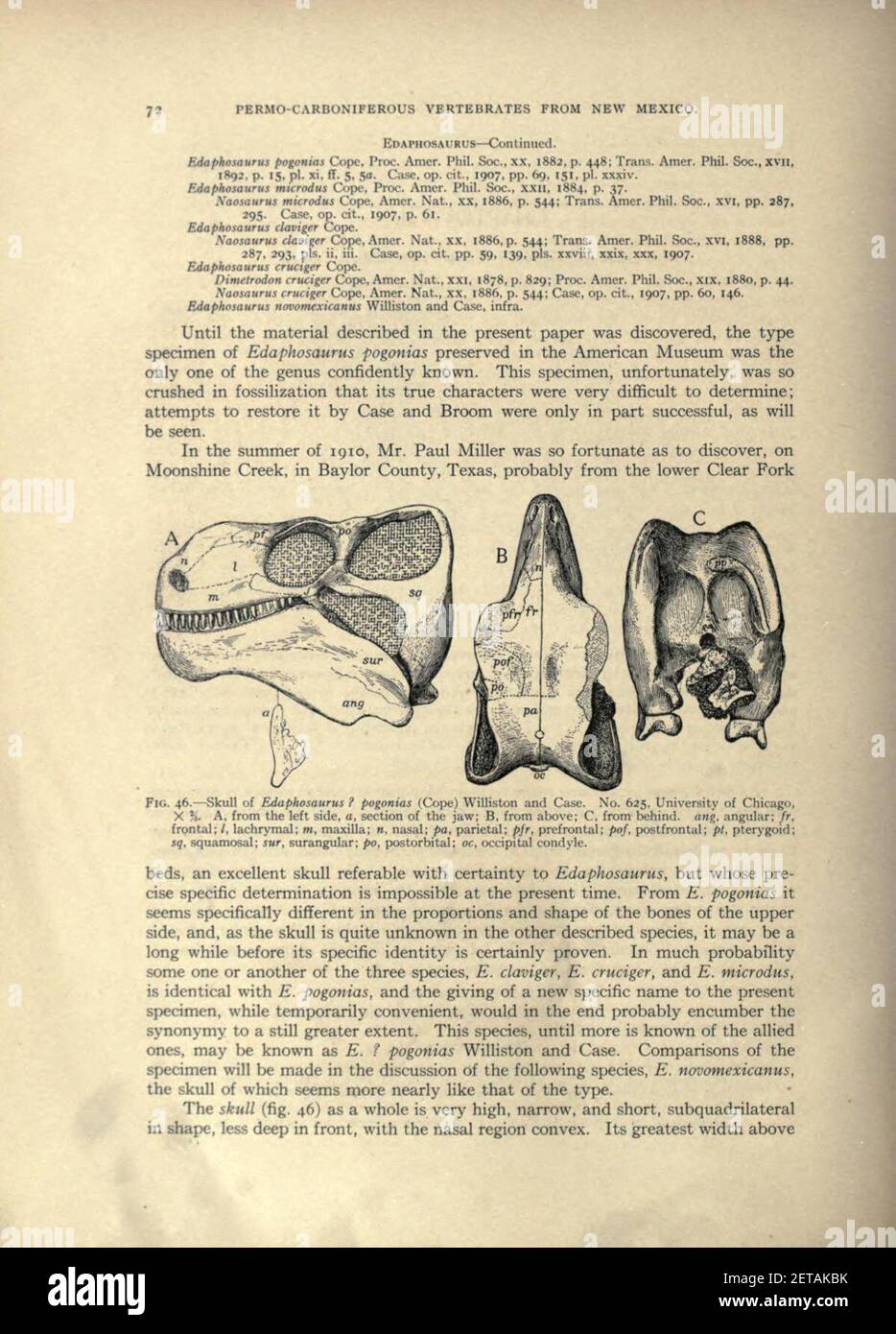 Permo hi-res stock photography and images - Alamy