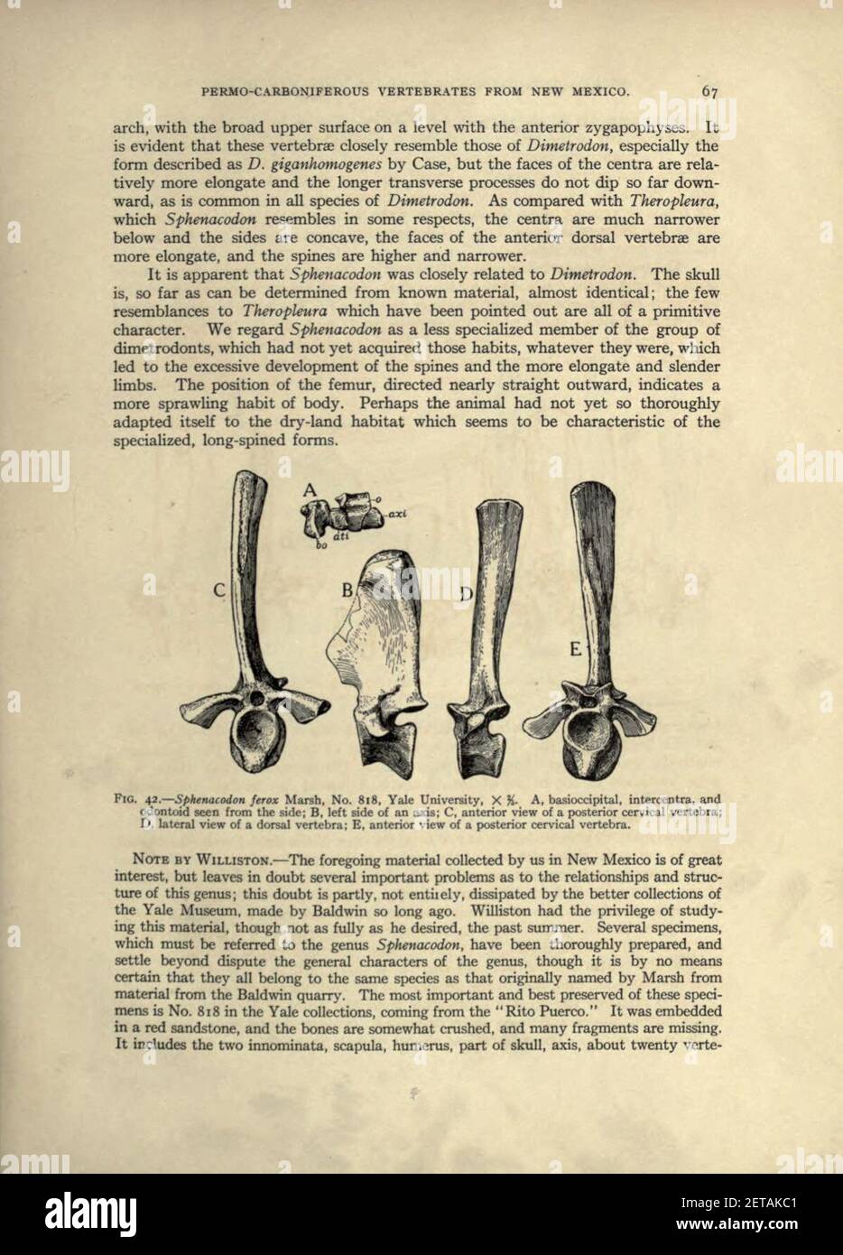 Permo hi-res stock photography and images - Alamy