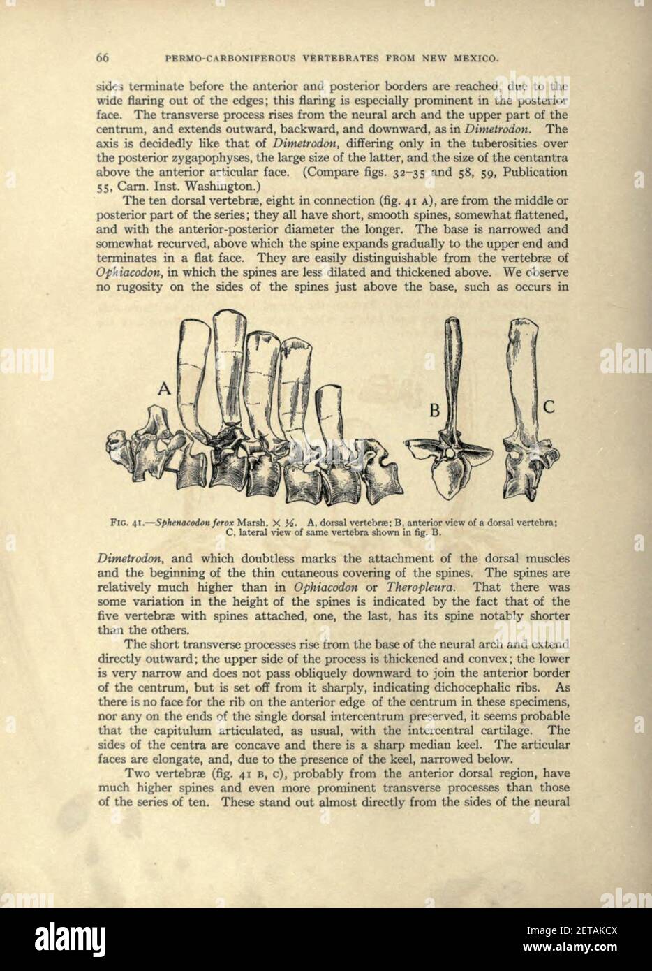 Permo hi-res stock photography and images - Alamy