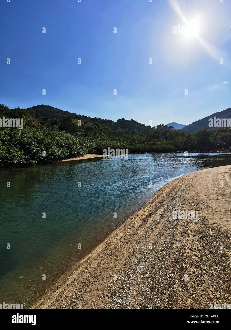 A vertical shot of a river with soft sand in the background of green ...