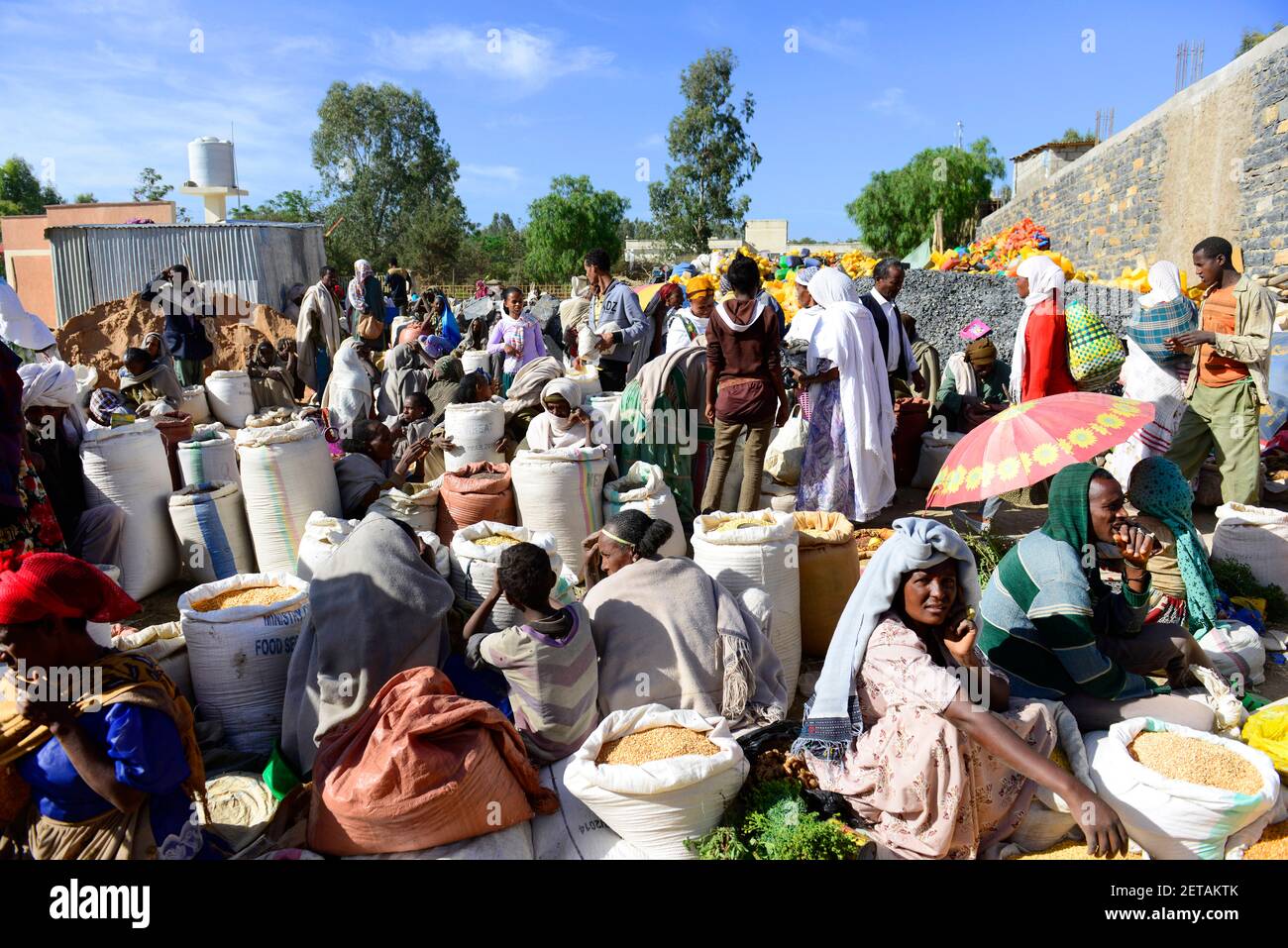 The vibrant market in Mekele, Tigray region, Ethiopia Stock Photo - Alamy