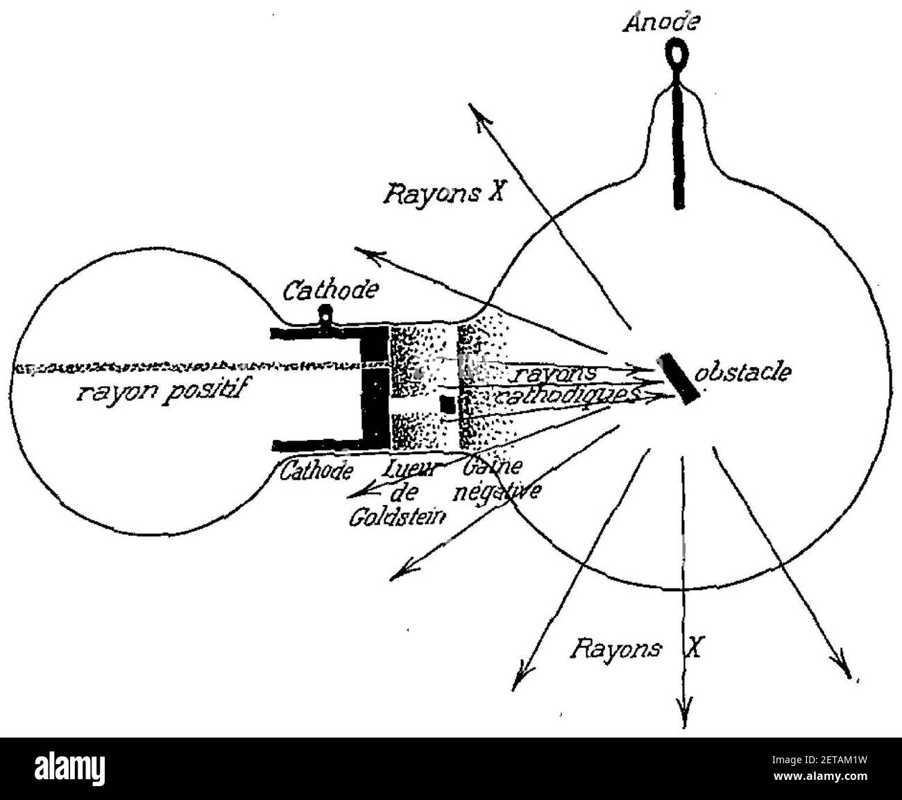 Jean perrin Cut Out Stock Images & Pictures - Alamy