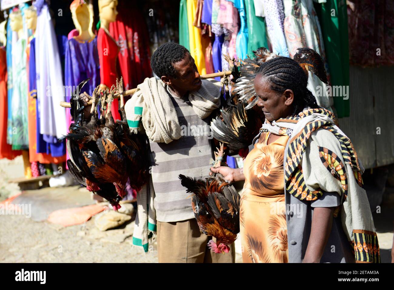 A Tigrayan man selling chickens in the market in Mekele, Ethiopia Stock ...