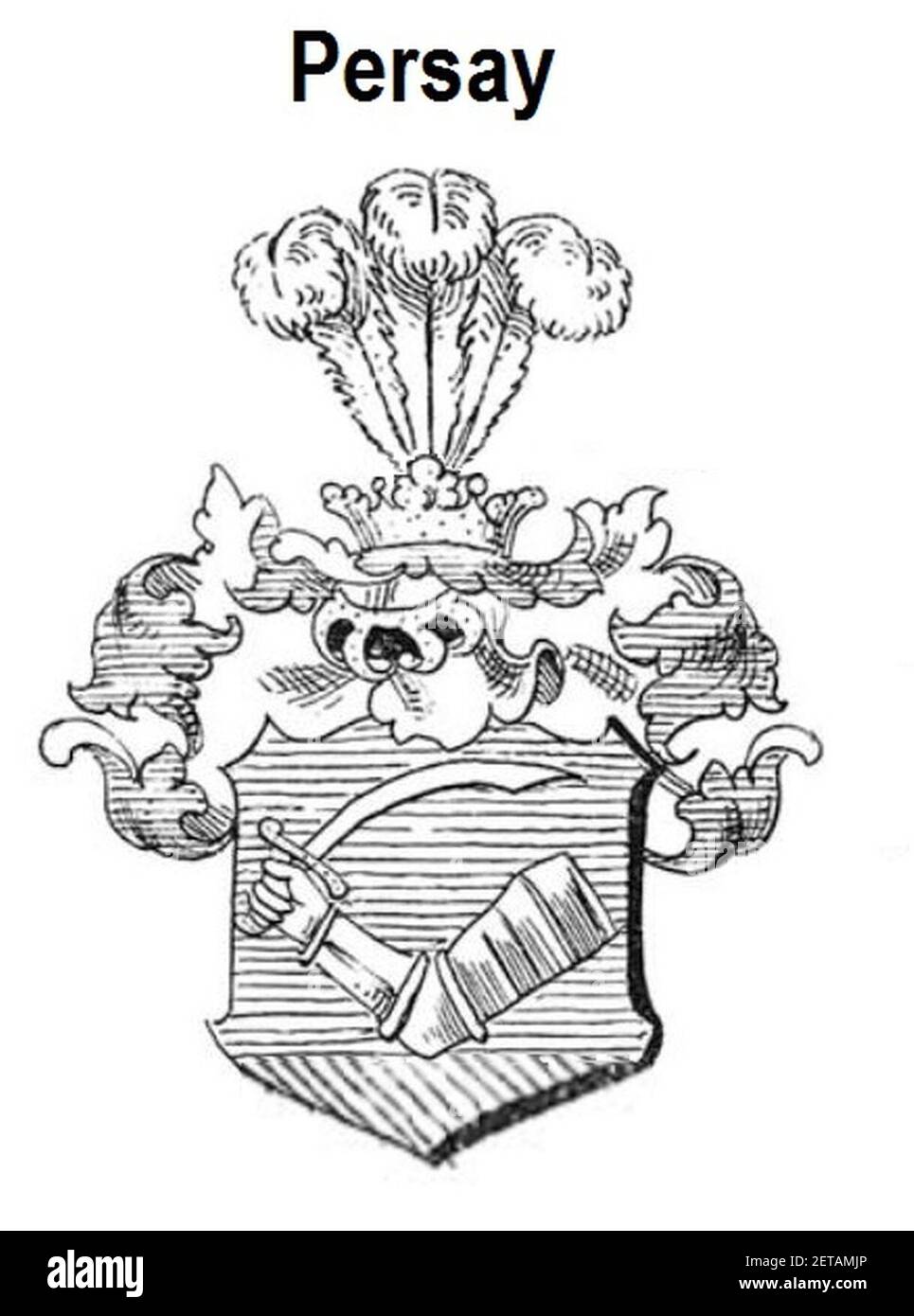 Persay cimer - rajz Stock Photo - Alamy