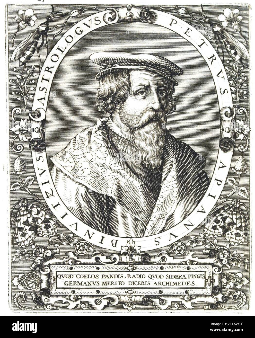 Peter apian Cut Out Stock Images & Pictures - Alamy