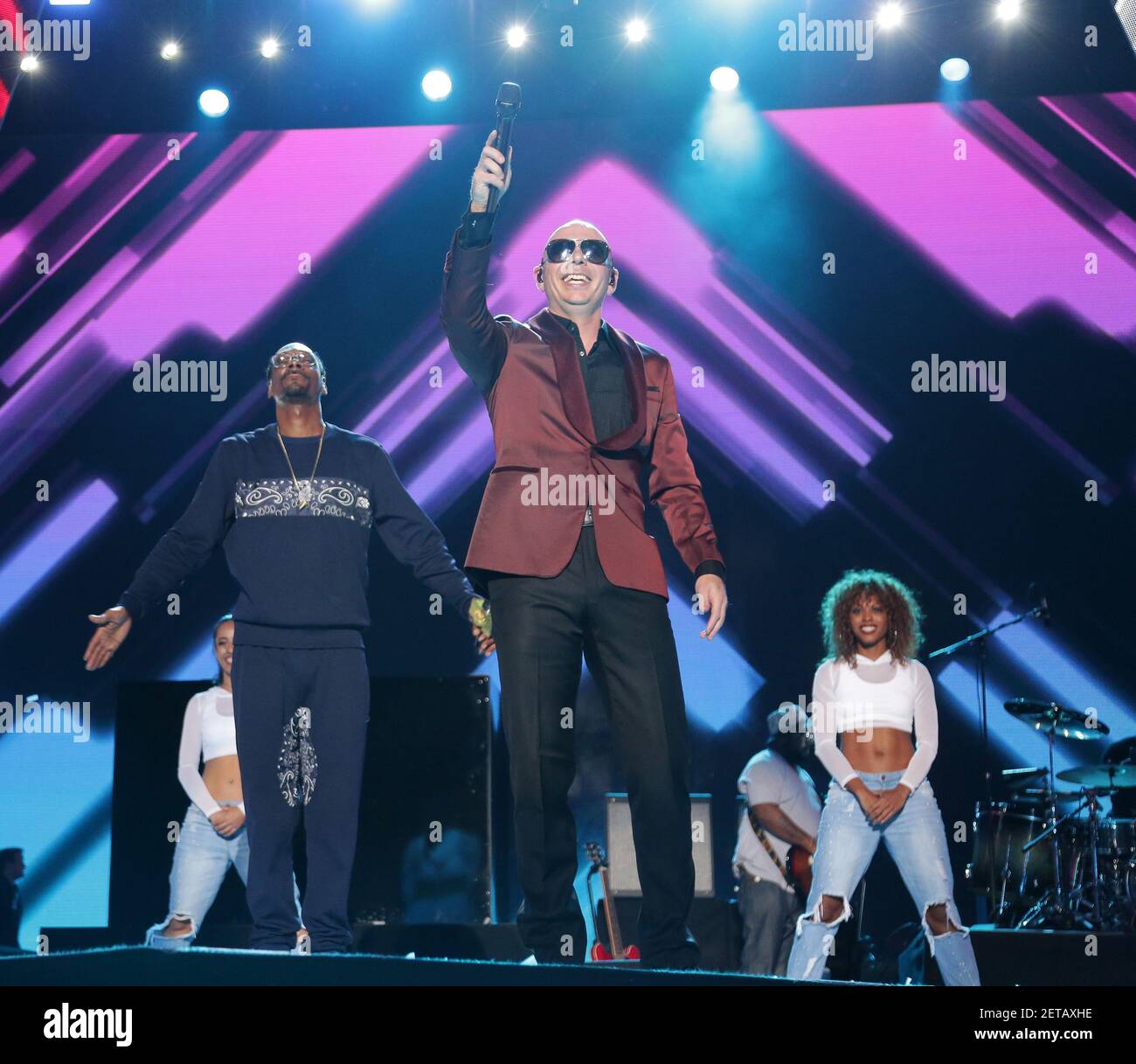 MIAMI, FLORIDA - DECEMBER 31: Snoop Dogg and Pitbull performs on stage ...