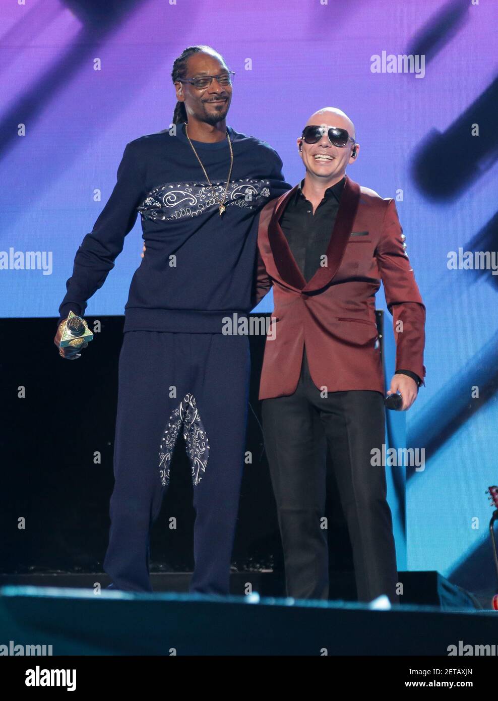 Snoop Dogg Pitbull