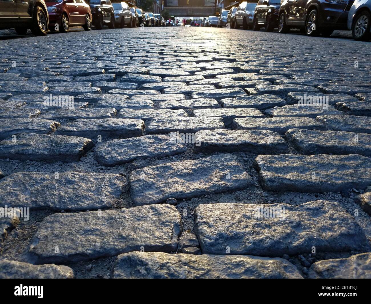 Cobblestone Street Texture