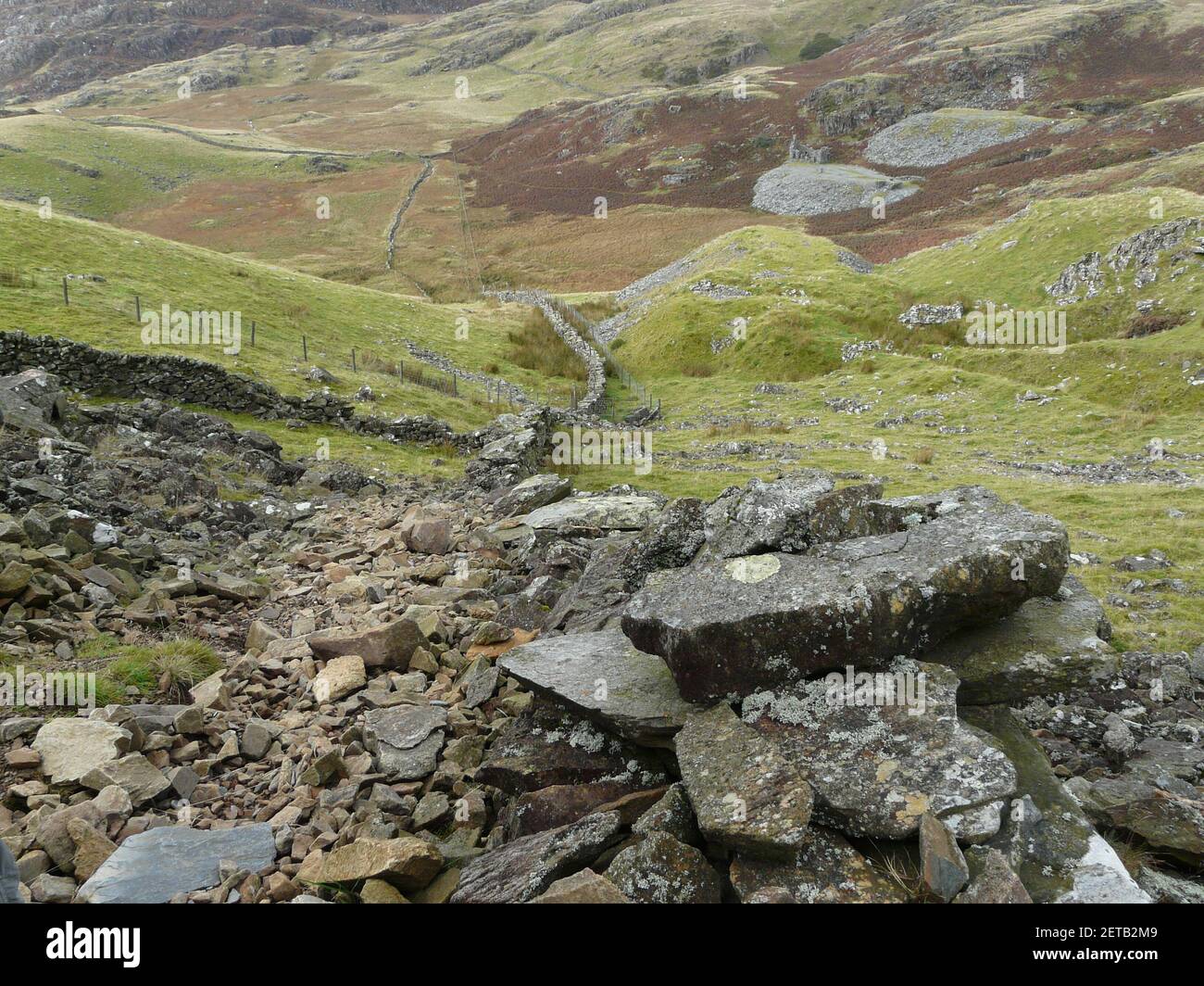 A fileds on hills separated from each other with the fences made by ...