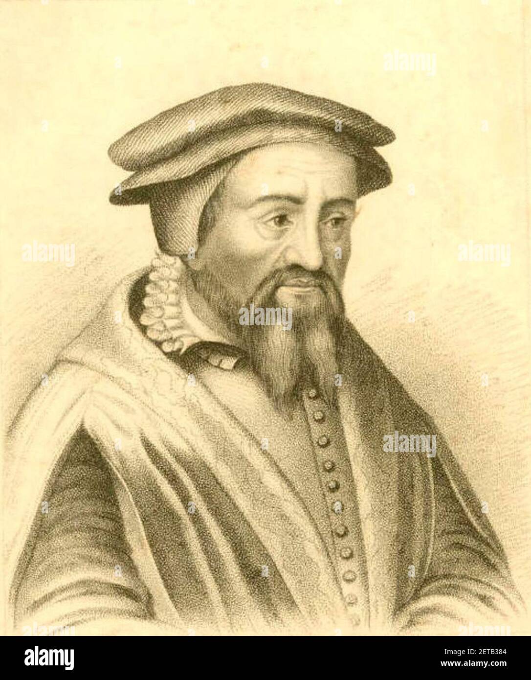 Peter Martyr Vermigli by Meyer Stock Photo - Alamy