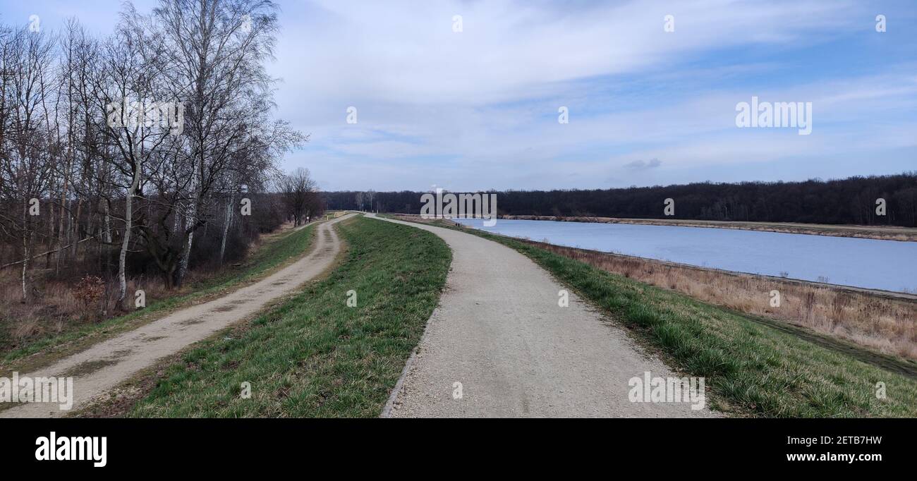 A pathway in a forest by a river captured during the dayt Stock Photo ...