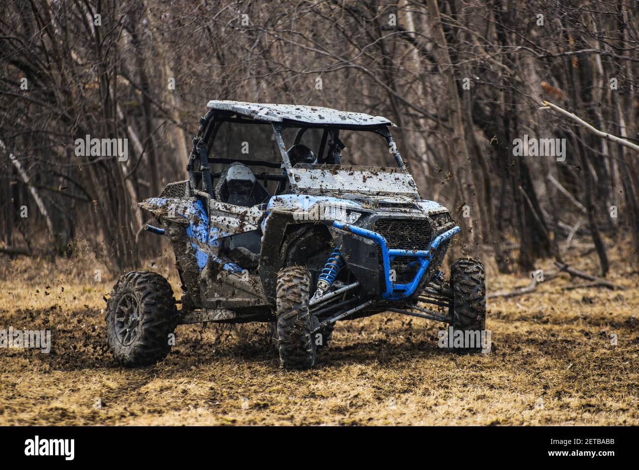 Swamp buggy hi-res stock photography and images - Alamy
