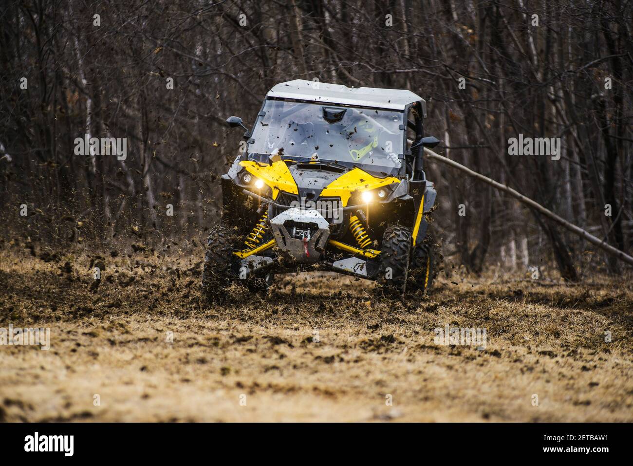 Swamp buggy hi-res stock photography and images - Alamy