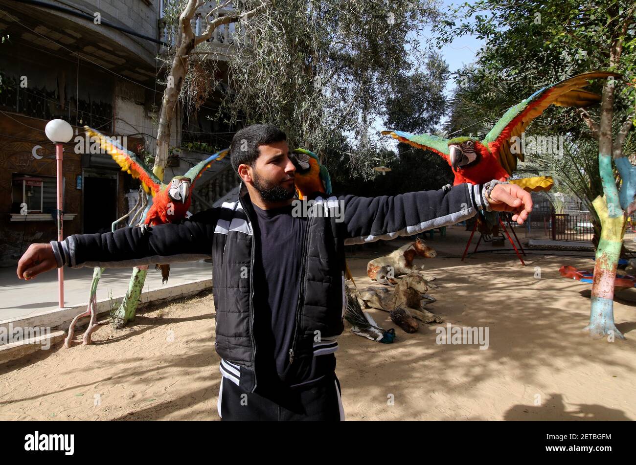 (170110) -- GAZA, Jan. 10, 2017 (Xinhua) -- A Palestinian zoo keeper ...