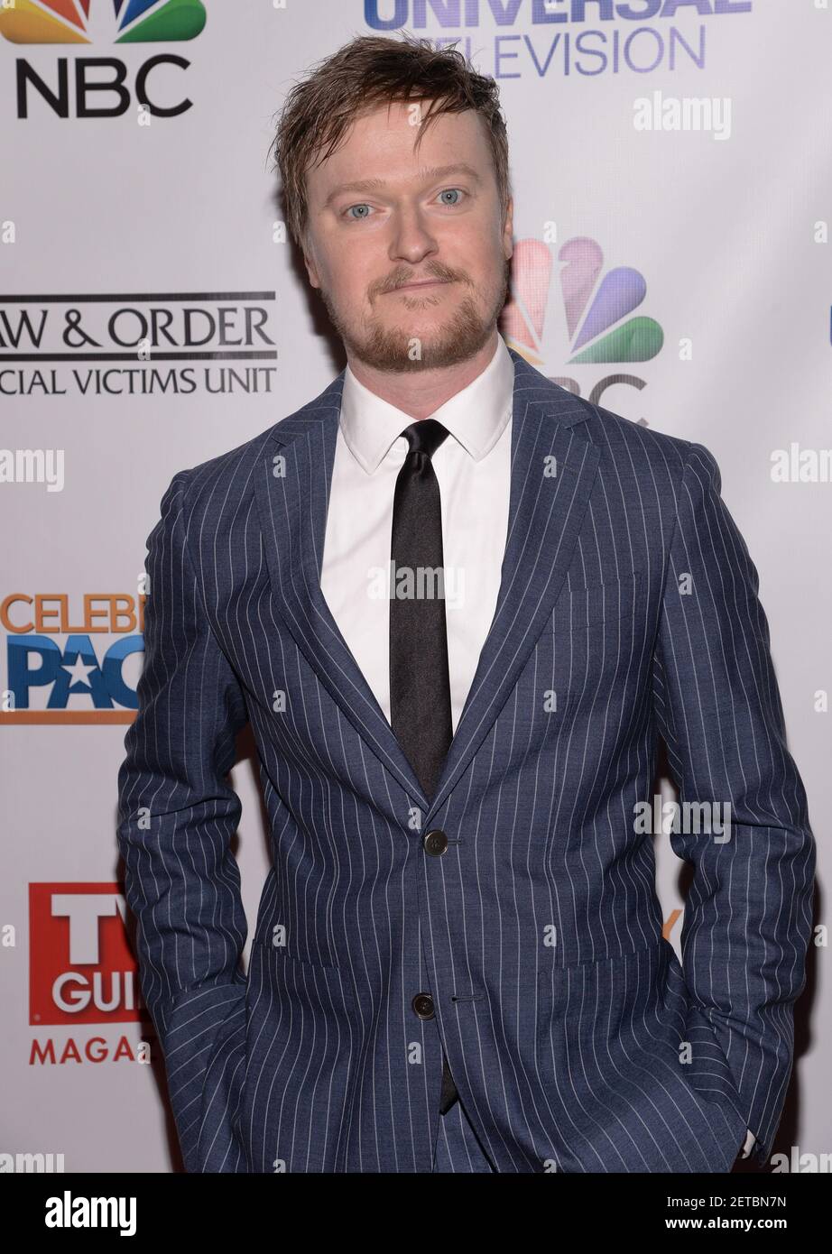 NEW YORK CITY - JANUARY 11: Steven Boyer attends the party to celebrate ...