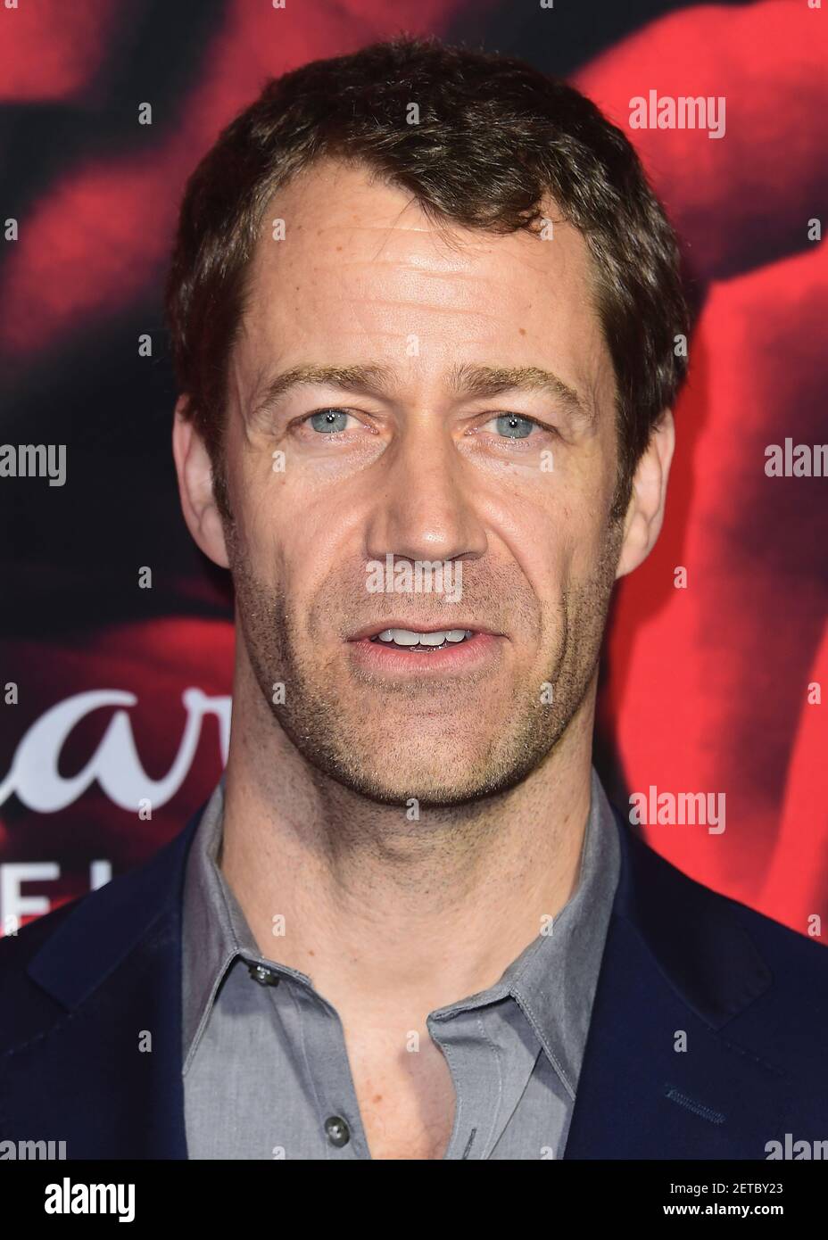 PASADENA, CA - JANUARY 14: Colin Ferguson at the Hallmark Channel and ...