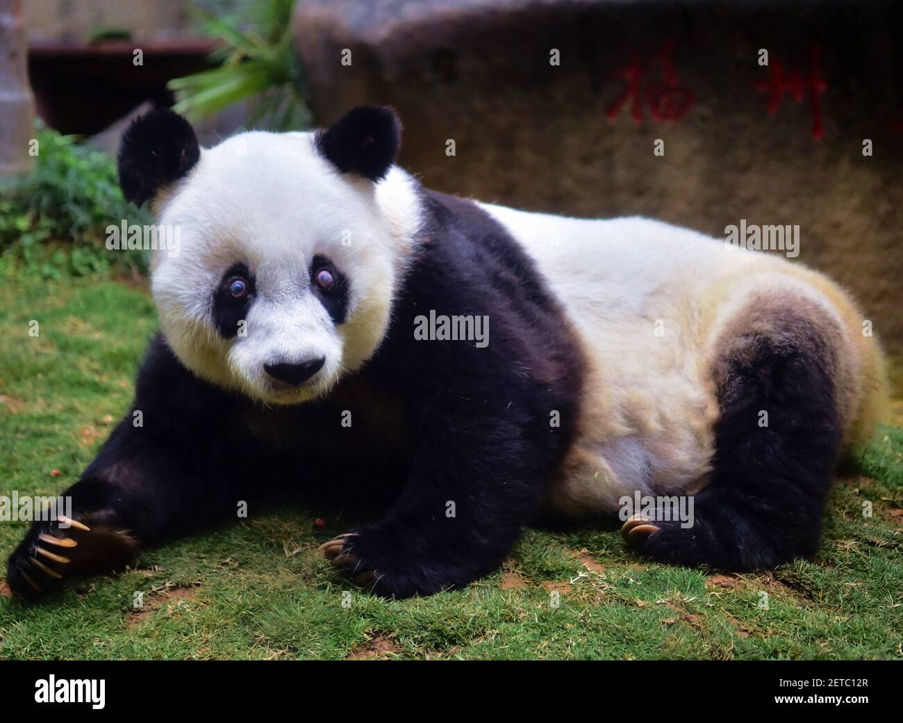 (170117) -- FUZHOU, Jan. 17, 2017 (Xinhua) -- Photo taken on Jan. 17 ...