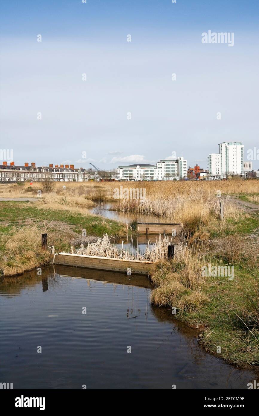 Cardiff bay wetland reserve hi-res stock photography and images - Alamy