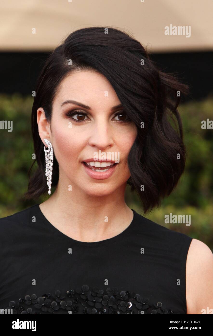 Beth Dover at the 23rd Annual Screen Actors Guild Awards held at the ...