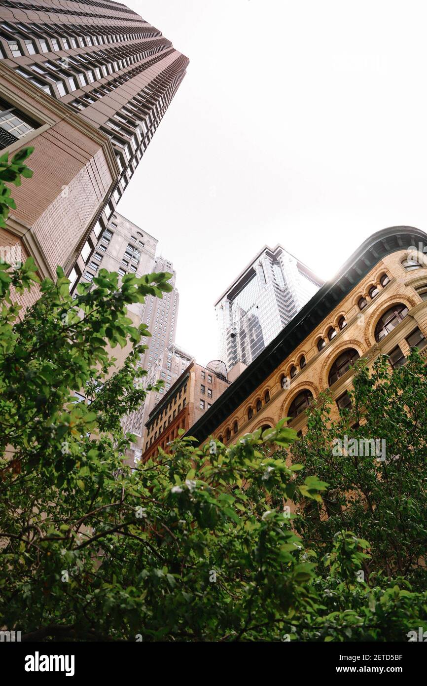 Skyscrapers surrounded by greenery hi-res stock photography and images ...