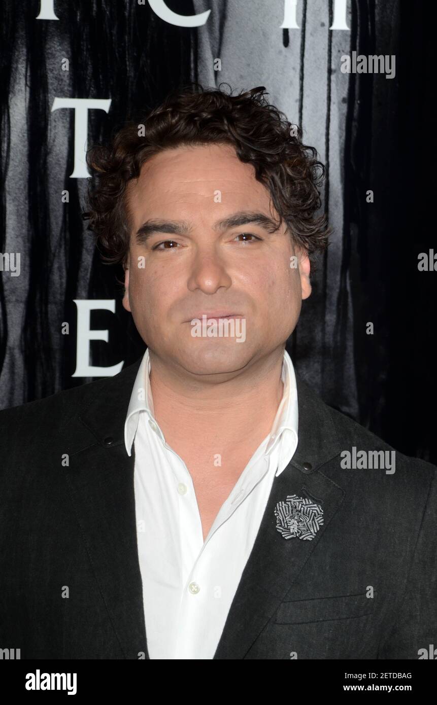 Johnny Galecki at the "Rings" Los Angeles Special Screening at the ...