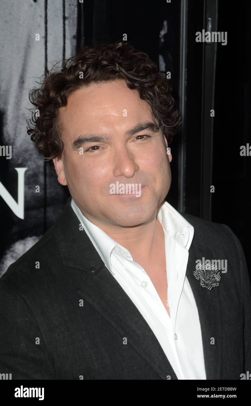 Johnny Galecki at the "Rings" Los Angeles Special Screening at the ...