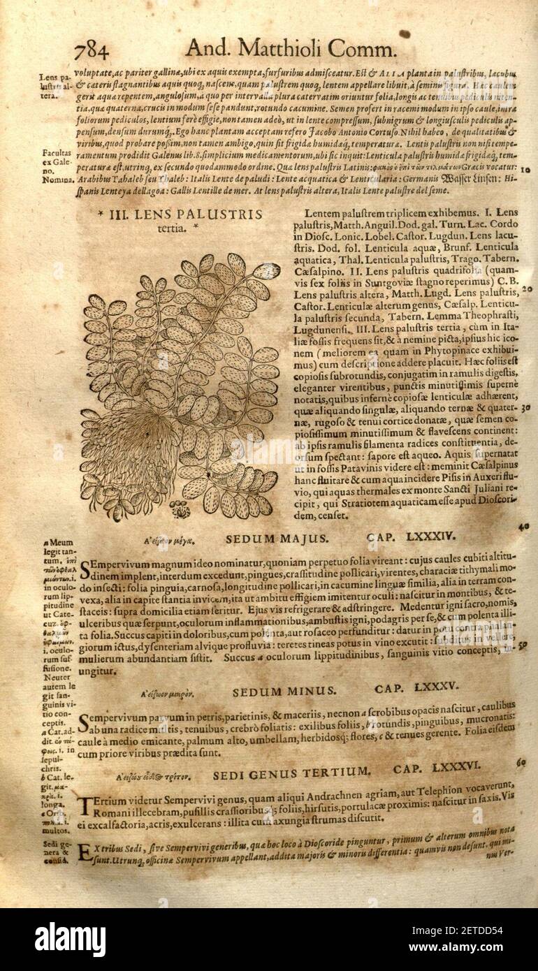 Page784