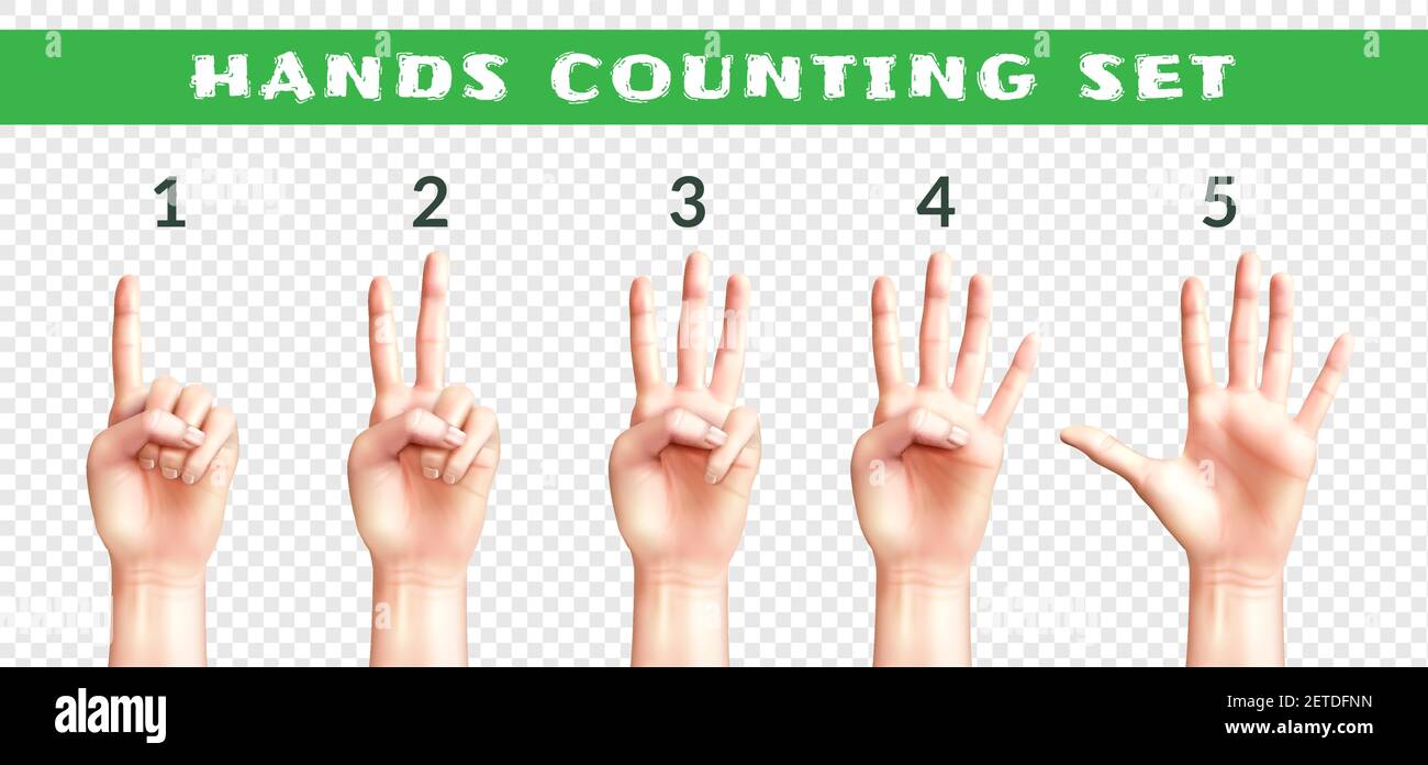 "Transparent Set Of Counting Hands Stock Vector Image & Art - Alamy