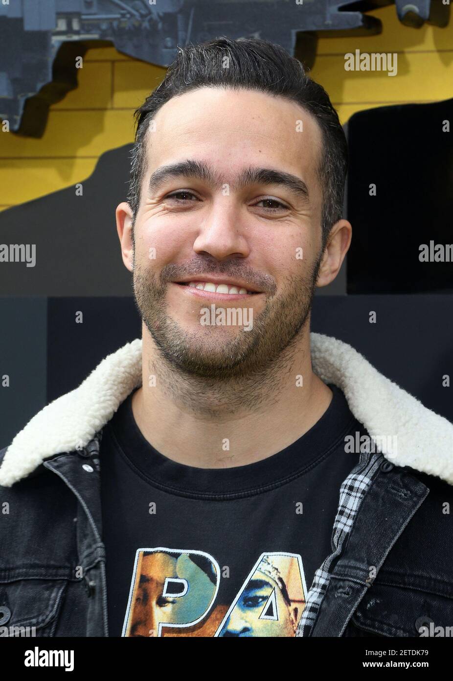 Pete Wentz at Warner Bros. Pictures' 'The LEGO Batman Movie' Premiere ...