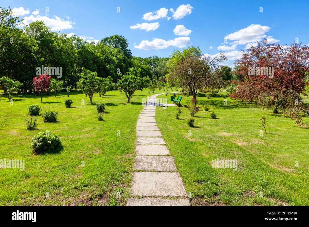 Stone path in the spring park . Walking in the park with green meadows ...