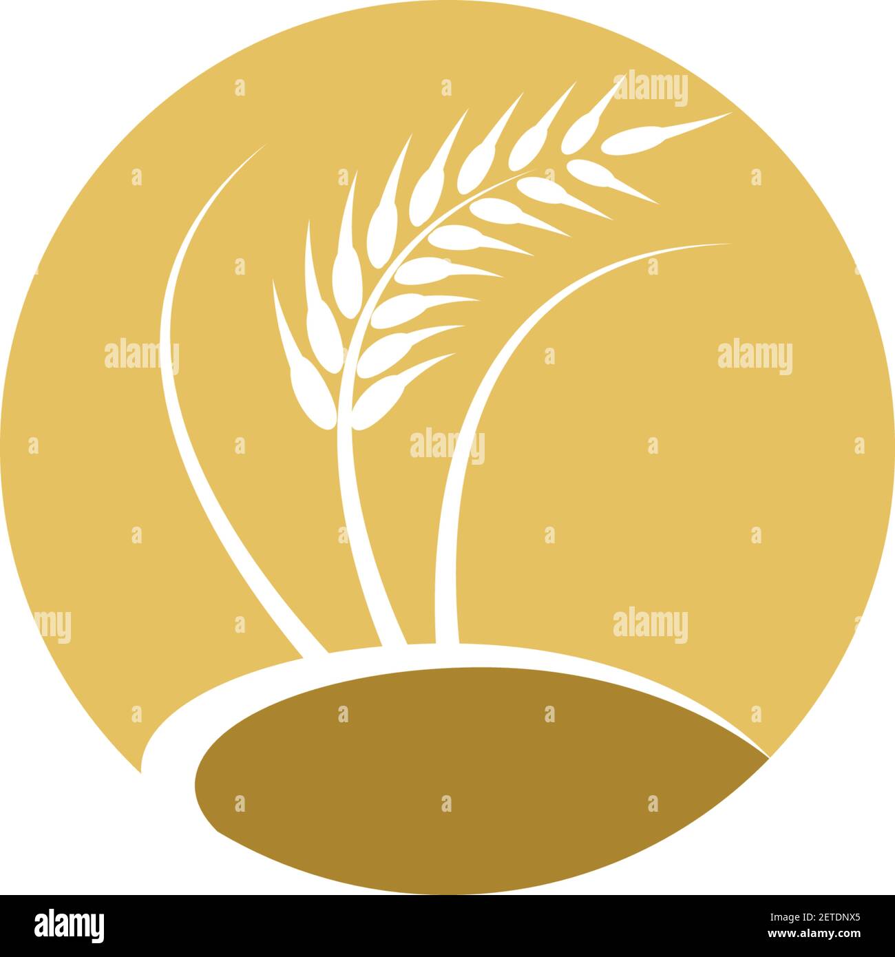 Agriculture wheat logo template vector icon design Stock Vector Image ...