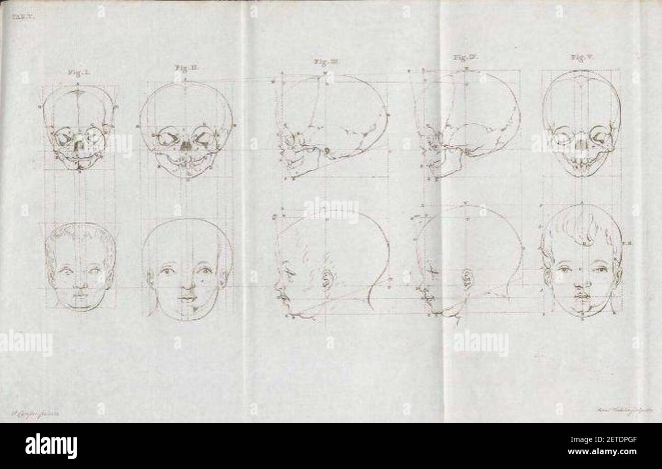 Petrus Camper facial angles by son Adriaan Gilles - baby to child Stock ...