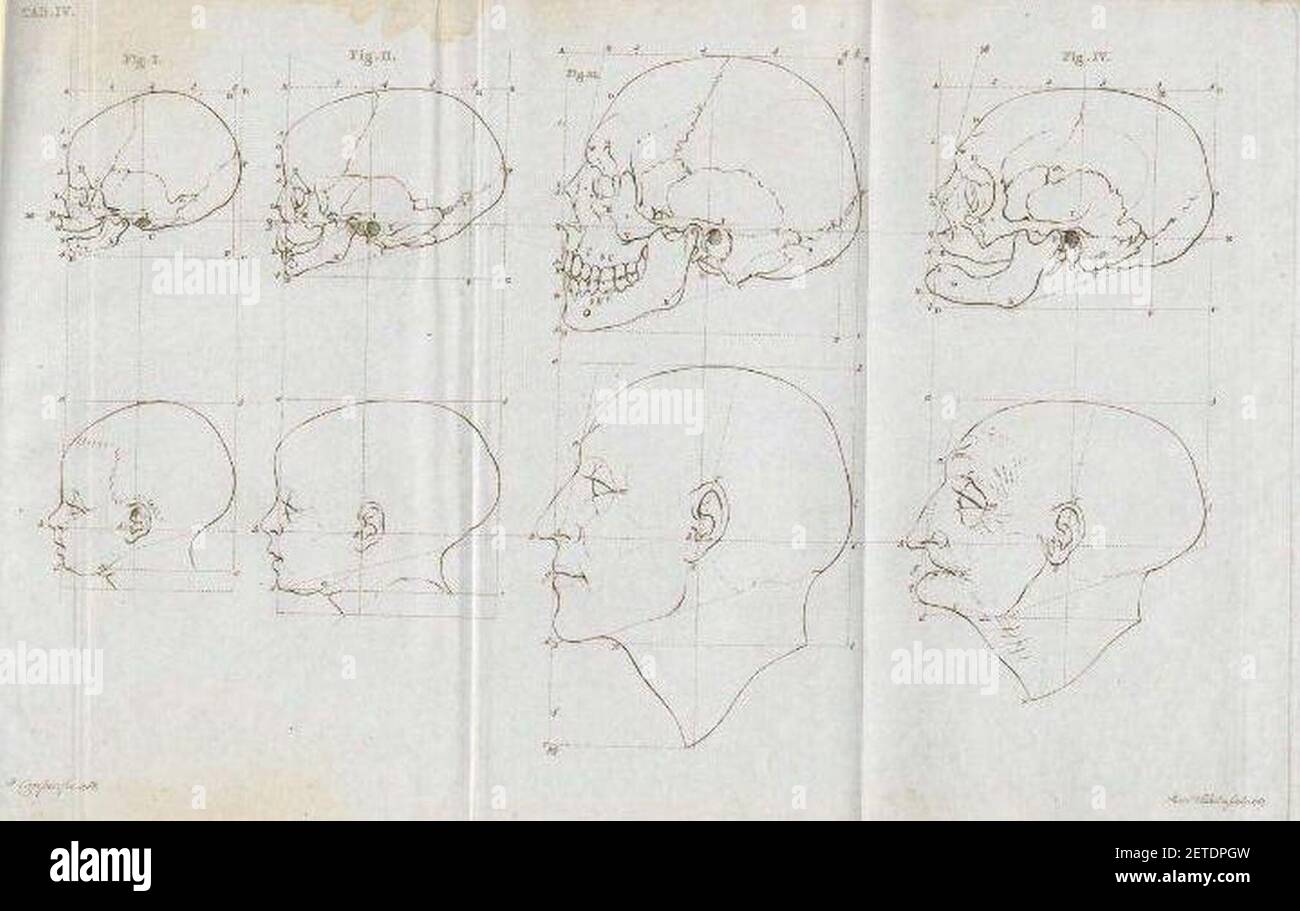 Petrus Camper facial angles by son Adriaan Gilles - baby to old man ...