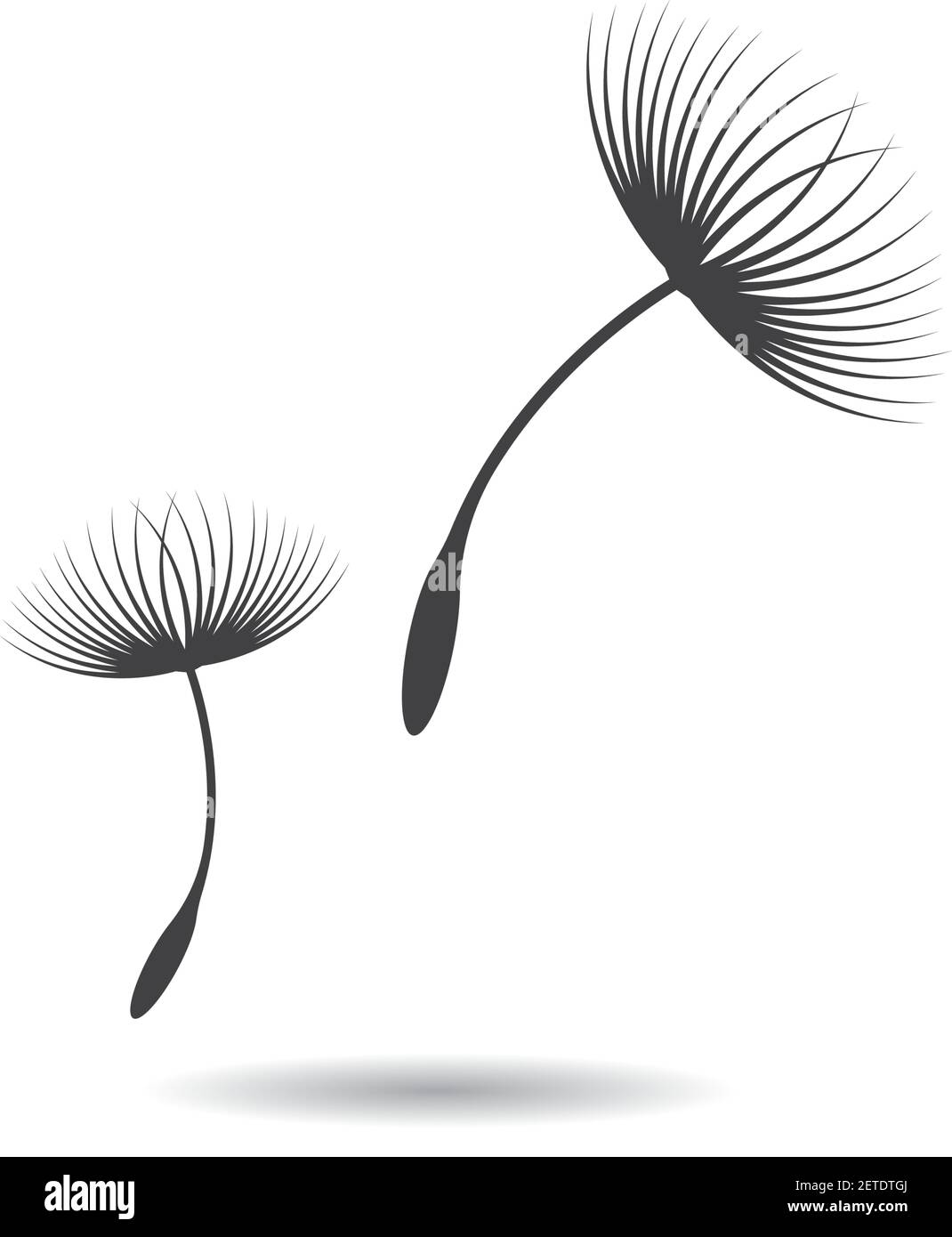 Dandelion vector illustration design Stock Vector Image & Art - Alamy