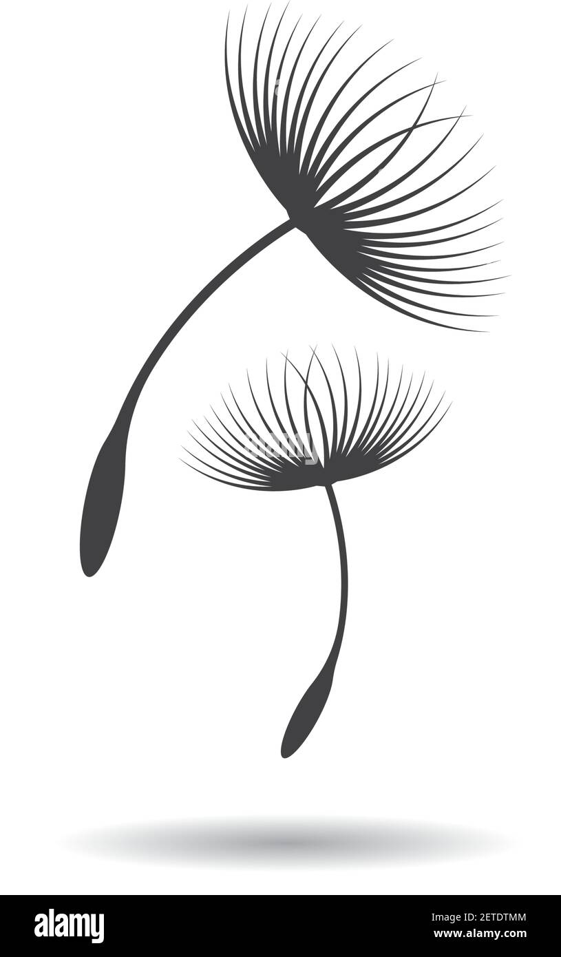 Dandelion vector illustration design Stock Vector Image & Art - Alamy