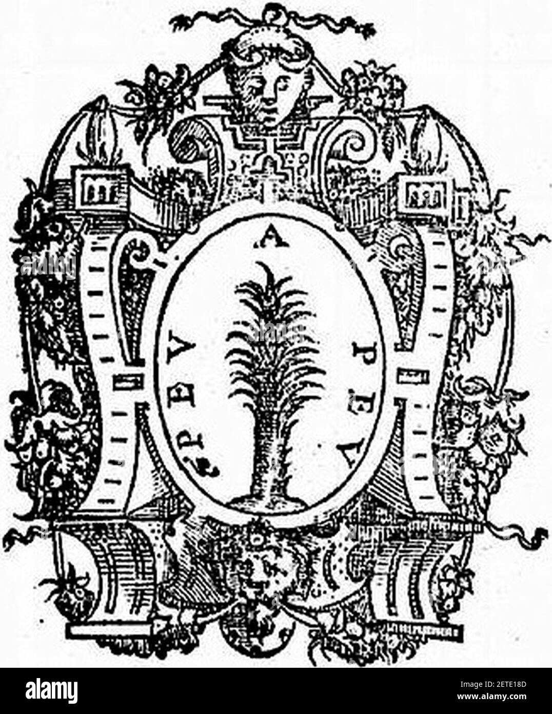 Peu Cut Out Stock Images & Pictures - Alamy